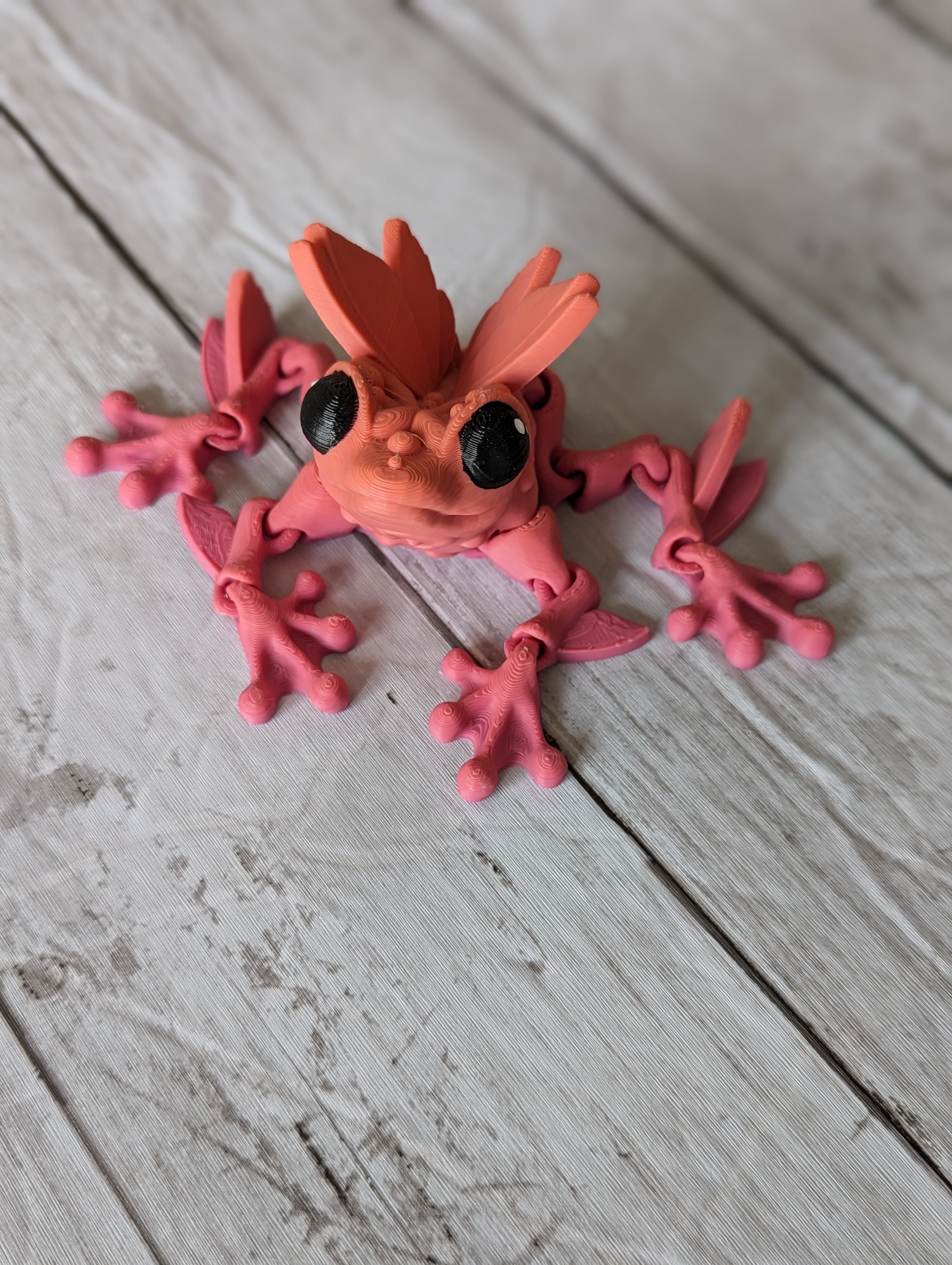 Flutter Frog Simplegeodesigns